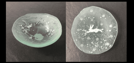 Glass | Meredith Fine Craft Gallery